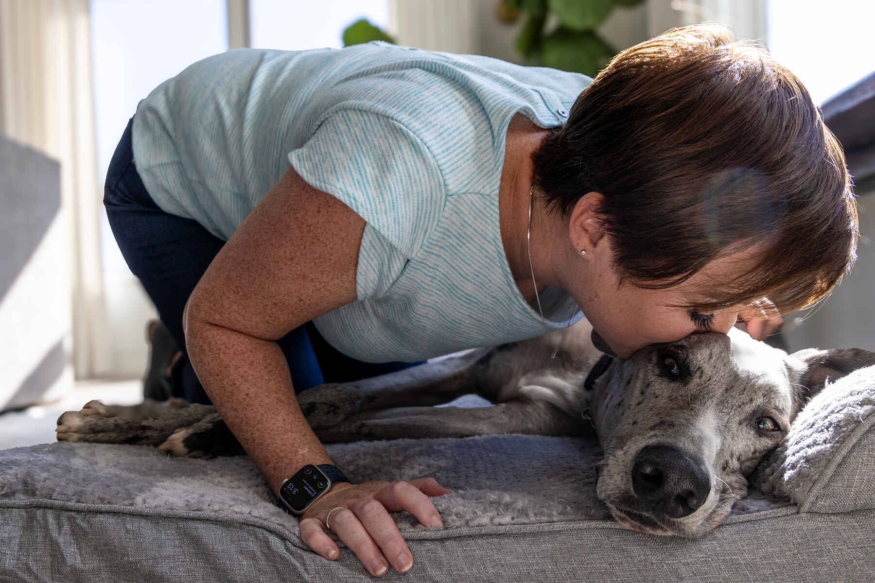 Animal Euthanasia : #1 Solution For Your Pet | Mercy Quietus